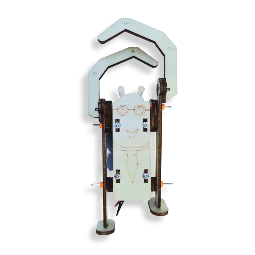 STEM Educational Toys - DIY Bennie the Climbing Robot | BotShop